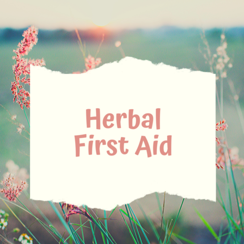 Herbal First Aid | Bear Roots Forest Education
